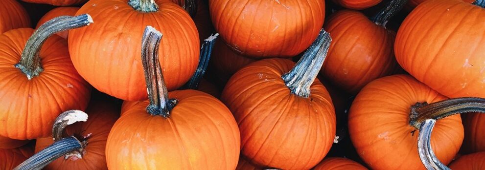 5 Ways You Can Avoid Scary Website Design This Halloween