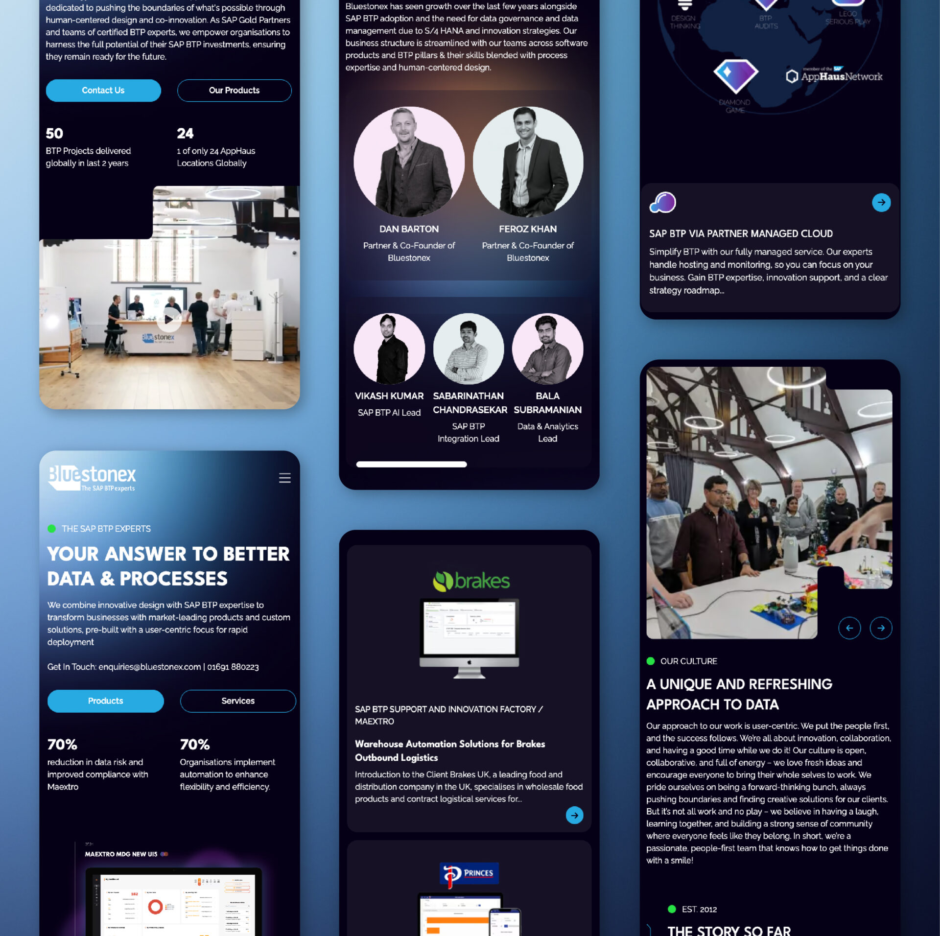 Bluestonex - Discovery Design